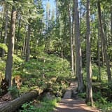 Idler's Rest Nature Preserve, Idaho - 294 Reviews, Map | AllTrails