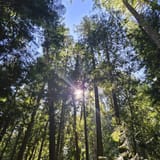 Idler's Rest Nature Preserve, Idaho - 294 Reviews, Map | AllTrails