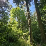 Idler's Rest Nature Preserve, Idaho - 294 Reviews, Map | AllTrails