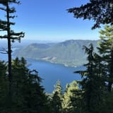 Mount Ellinor Trail, Washington - 2,738 Reviews, Map | AllTrails