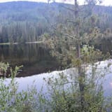 Officers Gulch, Colorado - 762 Reviews, Map | AllTrails