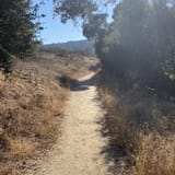 Powder Canyon Loop Trail, California - 2,405 Reviews, Map | AllTrails