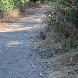 Powder Canyon Loop Trail, California - 2,405 Reviews, Map | AllTrails