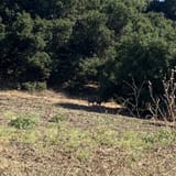 Powder Canyon Loop Trail, California - 2,405 Reviews, Map | AllTrails