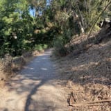 Powder Canyon Loop Trail, California - 2,405 Reviews, Map | AllTrails