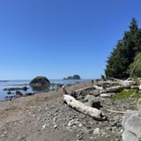 Cape Alava Trail, Washington - 556 Reviews, Map | AllTrails
