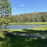 Wheeler Lake, California - 142 Reviews, Map | AllTrails
