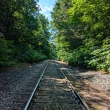 Mount Toby Trail, Massachusetts - 1,163 Reviews, Map | AllTrails