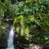 Mount Toby Trail, Massachusetts - 1,163 Reviews, Map | AllTrails