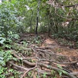 Lepoh Waterfalls, Selangor, Malaysia - 271 Reviews, Map | AllTrails