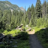 Spider Meadow via Phelps Creek Trail, Washington - 322 Reviews, Map ...