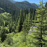 Spider Meadow via Phelps Creek Trail, Washington - 322 Reviews, Map ...