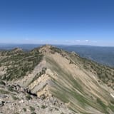 Provo Peak Trail, Utah - 181 Reviews, Map | AllTrails