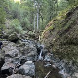 Cataract Falls Trail, California - 3,970 Reviews, Map | AllTrails