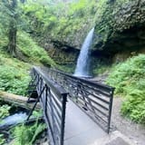 Latourell Falls Loop, Oregon - 7,198 Reviews, Map | AllTrails
