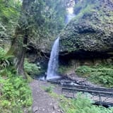 Latourell Falls Loop, Oregon - 7,156 Reviews, Map | AllTrails