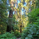 Lake 22 Trail, Washington - 12,790 Reviews, Map | AllTrails