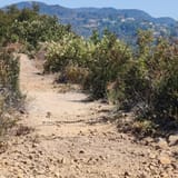 Murphy Ranch Trail, California - 3,978 Reviews, Map | AllTrails