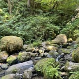 Santiam Wagon Road to House Rock, Oregon - 491 Reviews, Map | AllTrails