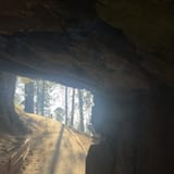 Congress Trail, California - 3,460 Reviews, Map | AllTrails