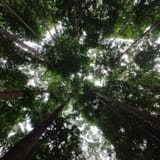 Mount Lambak, Johor, Malaysia - 222 Reviews, Map | AllTrails