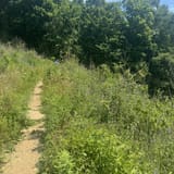 Raven Run Red Trail, Kentucky - 1,758 Reviews, Map | AllTrails
