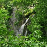 Lewis Spring Falls Trail, Virginia - 1,511 Reviews, Map | AllTrails