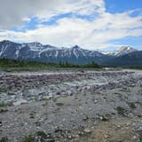 Castner Glacier Trail, Alaska - 724 Reviews, Map | AllTrails