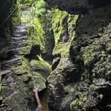 Lydford Gorge Walk, White Lady Waterfall, and Lydford Castle Circular ...