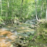 Waterdown Trail to Smokey Hollow, Ontario, Canada - 2,445 Reviews, Map ...