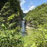 Lower Falls and Gorge Trail, New York - 805 Reviews, Map | AllTrails