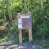 Treasure Falls Trail, Colorado - 1,419 Reviews, Map | AllTrails