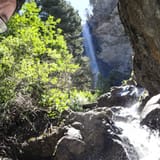 Treasure Falls Trail, Colorado - 1,419 Reviews, Map | AllTrails