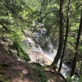 Auger Falls Loop, New York - 760 Reviews, Map | AllTrails