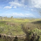 Cedar Point Tideland Trail, North Carolina - 760 Reviews, Map | AllTrails