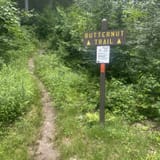 Butternut Trail, Pennsylvania - 199 Reviews, Map | AllTrails