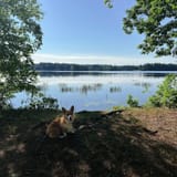 Haggetts Rail Trail to Haggetts Pond, Massachusetts - 409 Reviews, Map ...