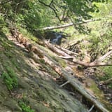 Hone Quarry Waterfall, Virginia - 352 Reviews, Map | AllTrails