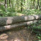 Hone Quarry Waterfall, Virginia - 352 Reviews, Map | AllTrails