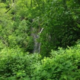 Lewis Spring Falls Trail, Virginia - 1,546 Reviews, Map | AllTrails