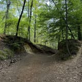 Iron Hill Loop, Georgia - 5,319 Reviews, Map | AllTrails