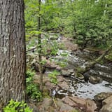 Congdon Park, Minnesota - 522 Reviews, Map | AllTrails