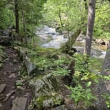 Congdon Park, Minnesota - 522 Reviews, Map | AllTrails