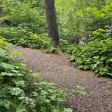 Congdon Park, Minnesota - 460 Reviews, Map | AllTrails