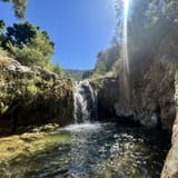 Cold Springs East Fork Trail, California - 345 Reviews, Map | AllTrails