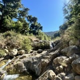 Cold Springs East Fork Trail, California - 345 Reviews, Map | AllTrails