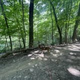 Frick Park Tour Loop Trail, Pennsylvania - 1,313 Reviews, Map | AllTrails