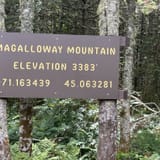 Magalloway Mountain, New Hampshire - 513 Reviews, Map | AllTrails