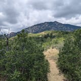 Zook Loop, Colorado - 634 Reviews, Map | AllTrails