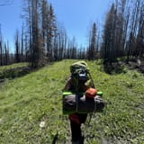 Mill Castle Trail to Lowline Trail Loop, Colorado - 44 Reviews, Map ...